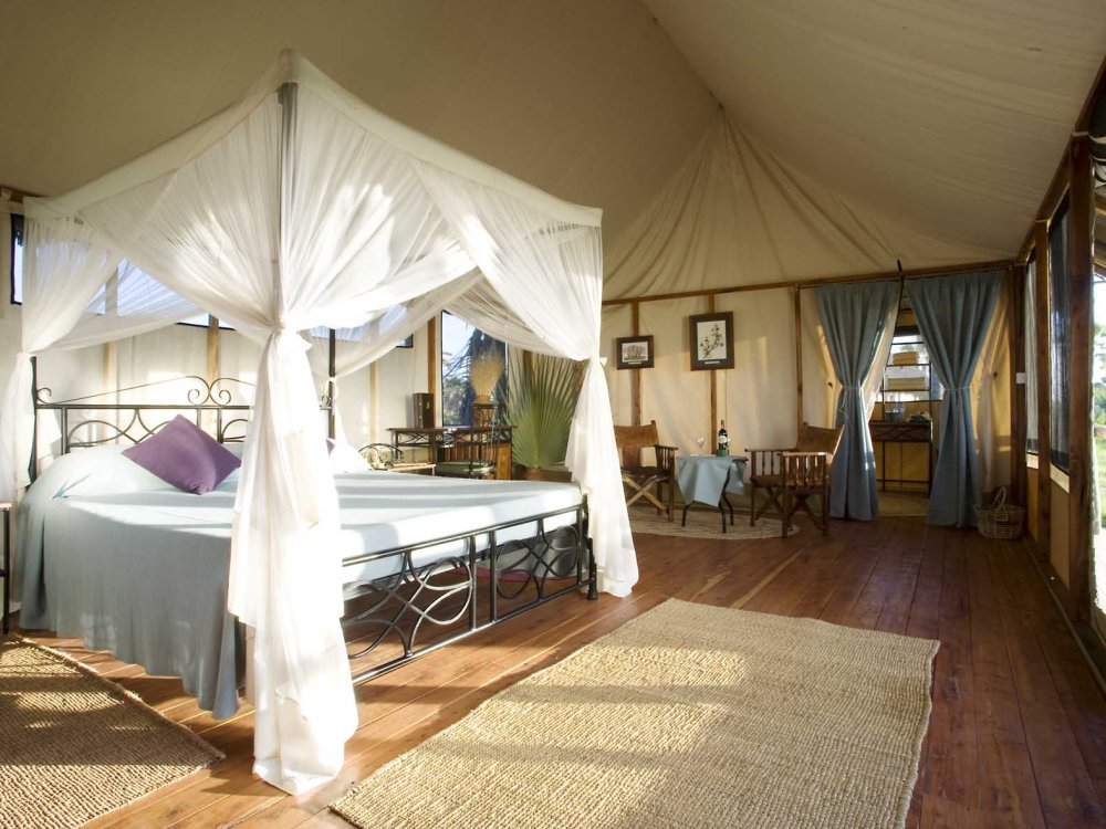 Safari Tansania & Sansibar - moja TRAVEL