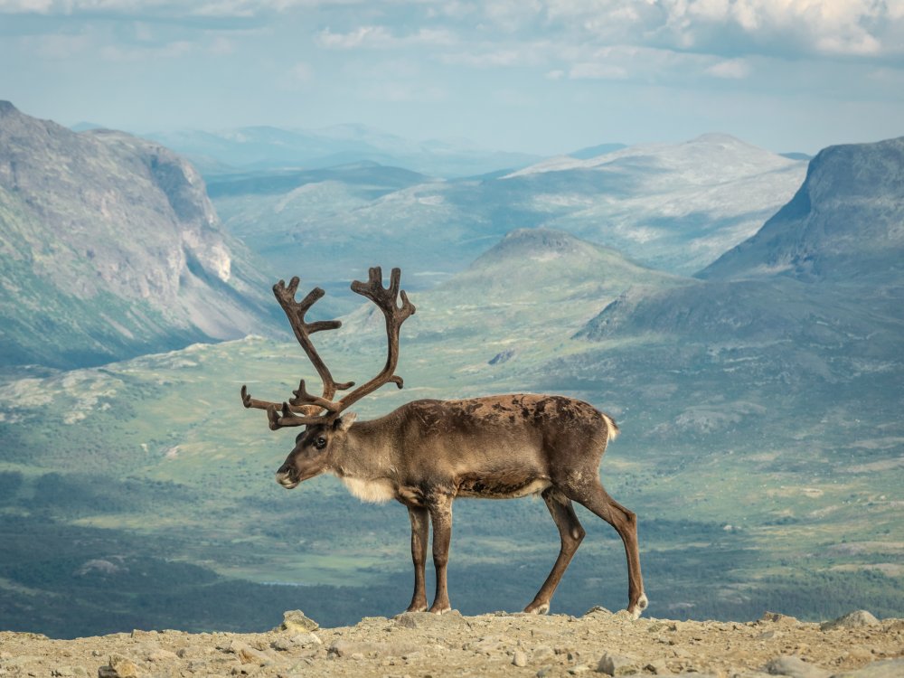 Naturwanderreise von Oslo nach Bergen - moja TRAVEL