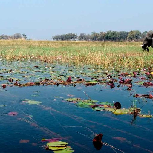 Desert & Delta Express (Nord) - moja TRAVEL