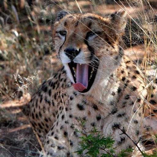 Southern Wilderness Adventure - moja TRAVEL
