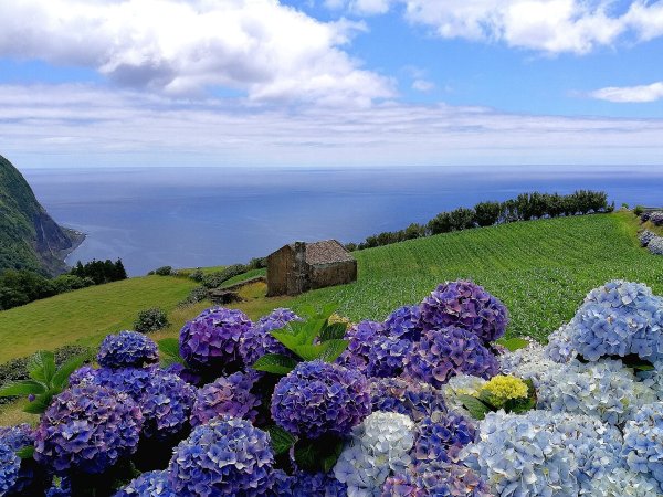 Azoren erleben - moja TRAVEL