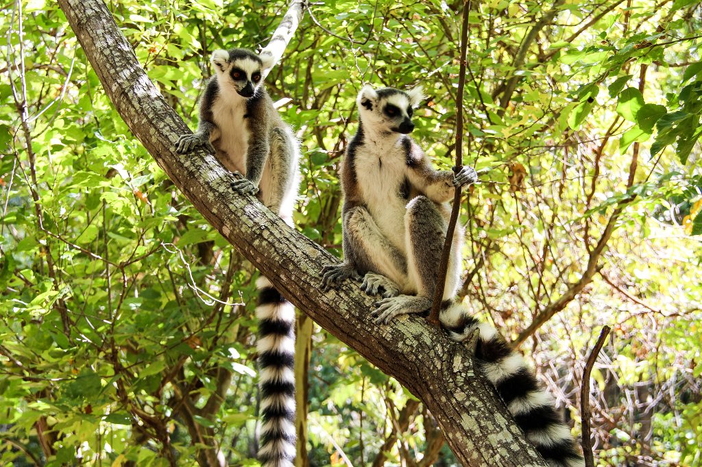 Die Top 10 Reiseziele 2025 im Überblick