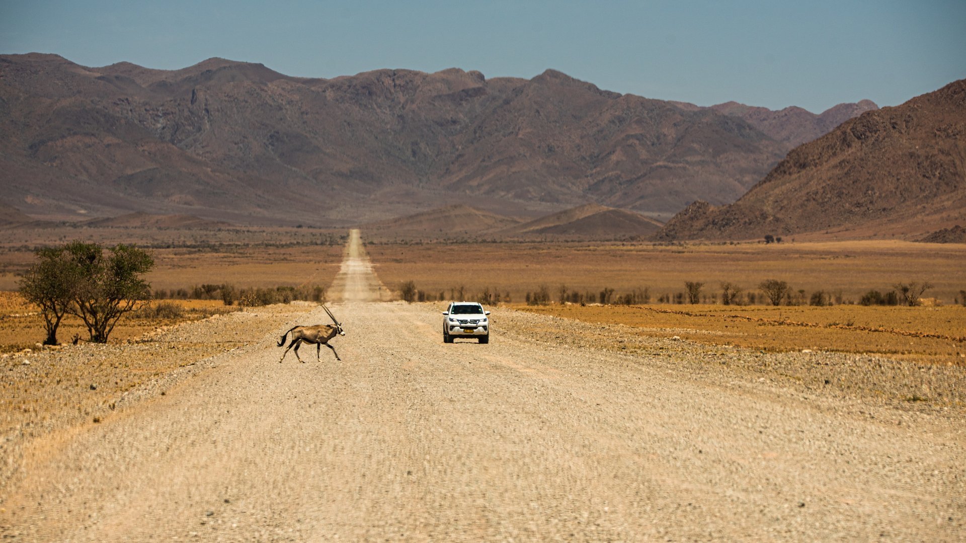Mit dem Mietwagen durch Namibia – Erfahrungen und Tipps