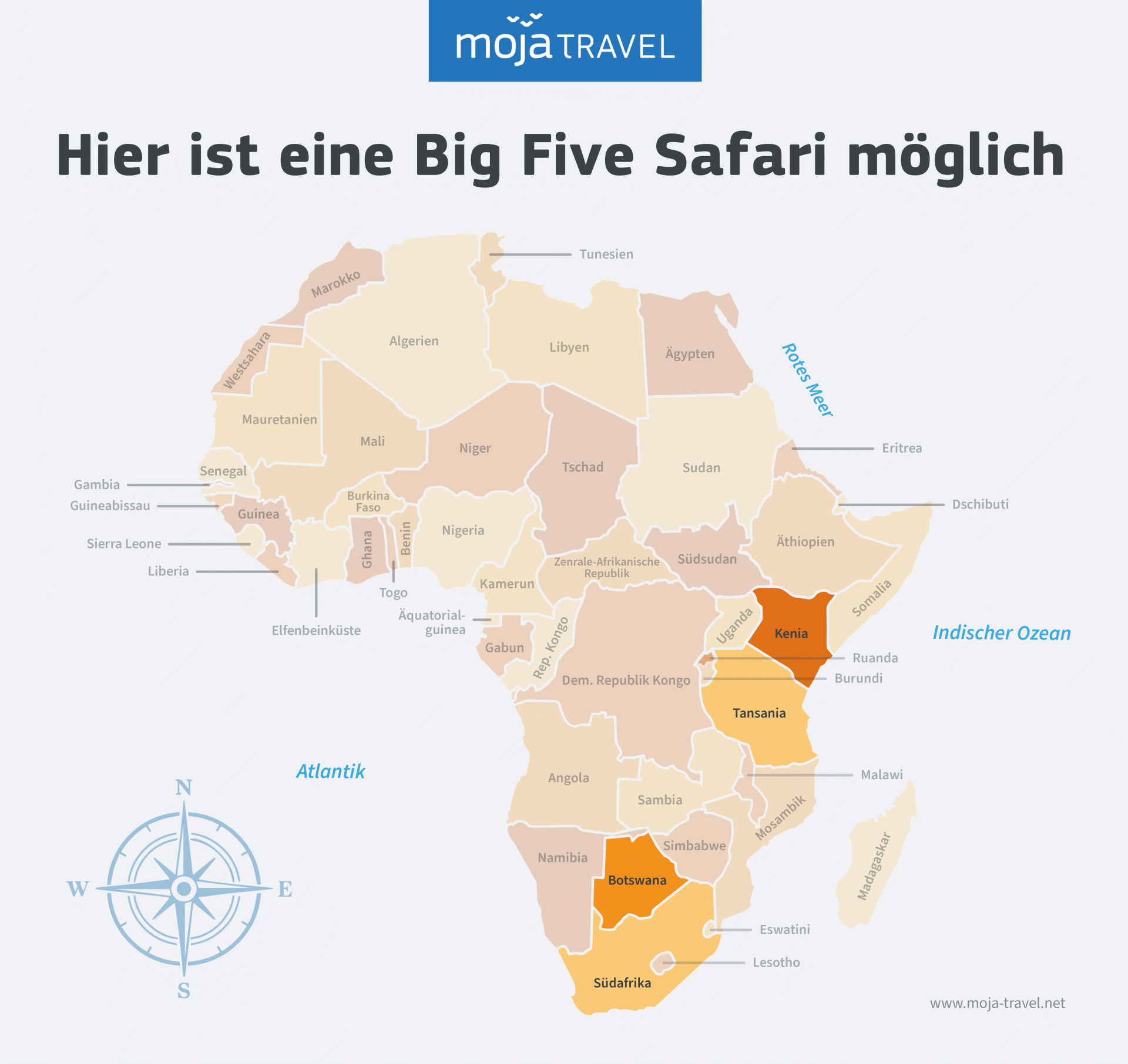 Big Five Safari in Afrika: alles Wissenswerte im Überblick