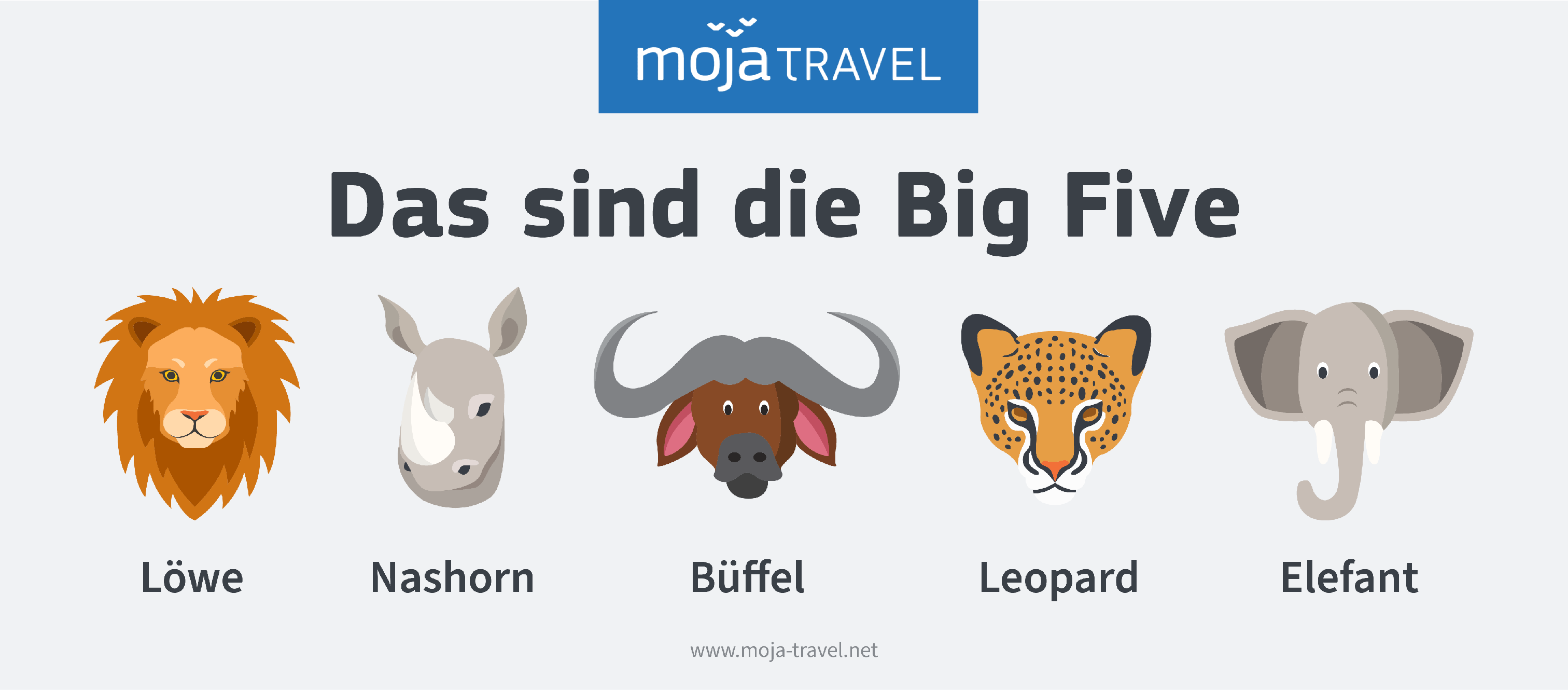 Big Five Safari in Afrika: alles Wissenswerte im Überblick