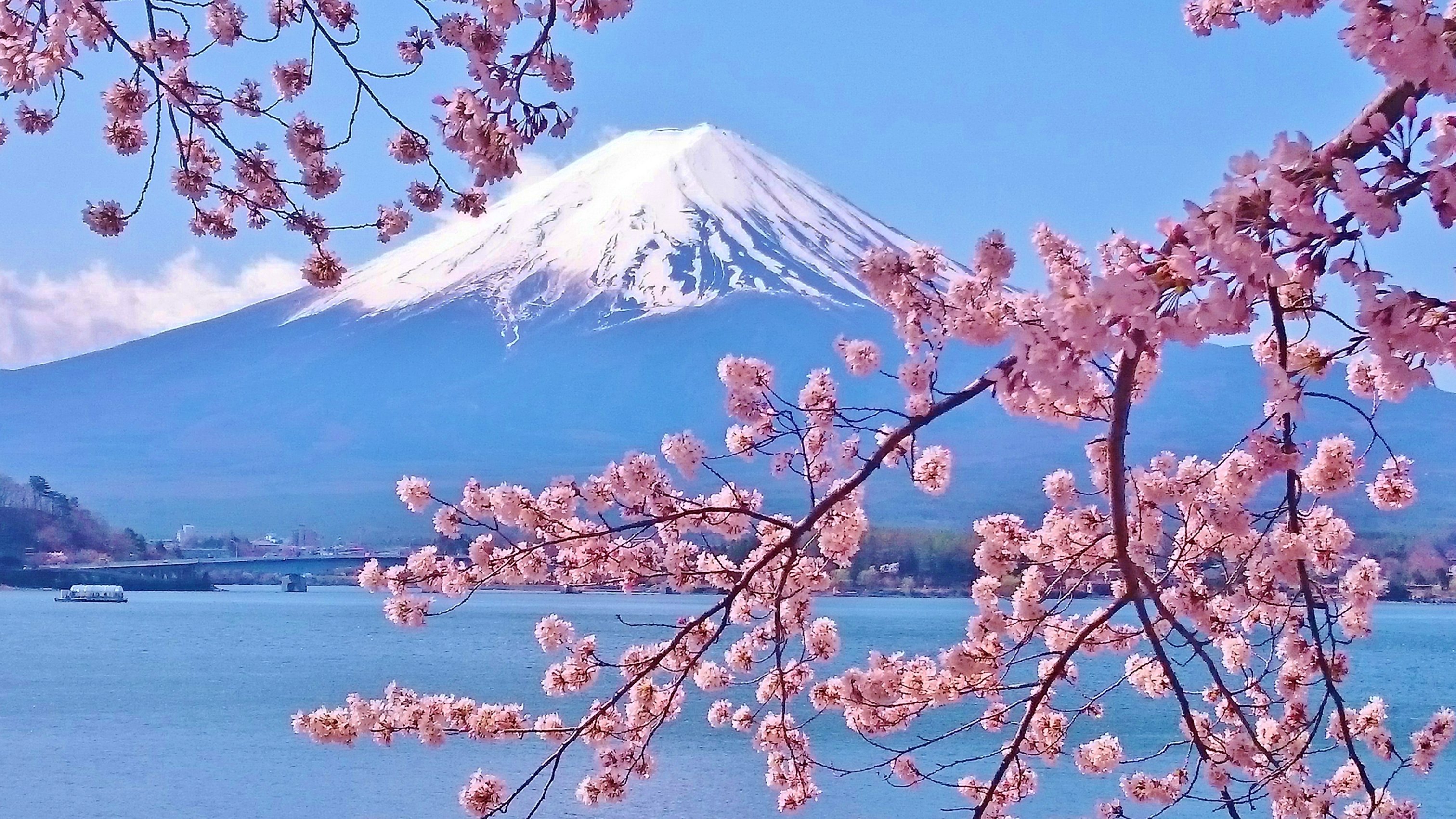 Japan Sehenswürdigkeiten: Die 9 schönsten Orte | moja TRAVEL