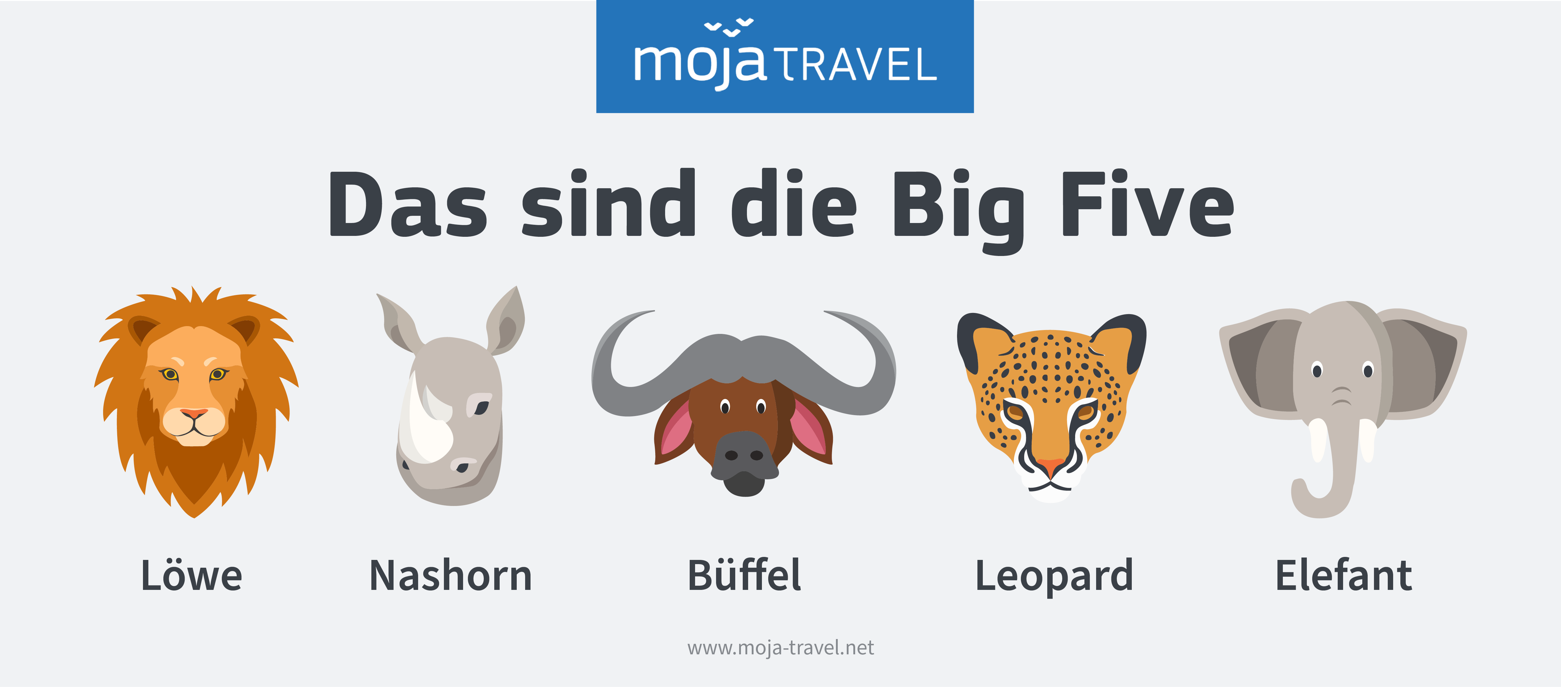 Big Five Safari in Afrika: alles Wissenswerte im Überblick