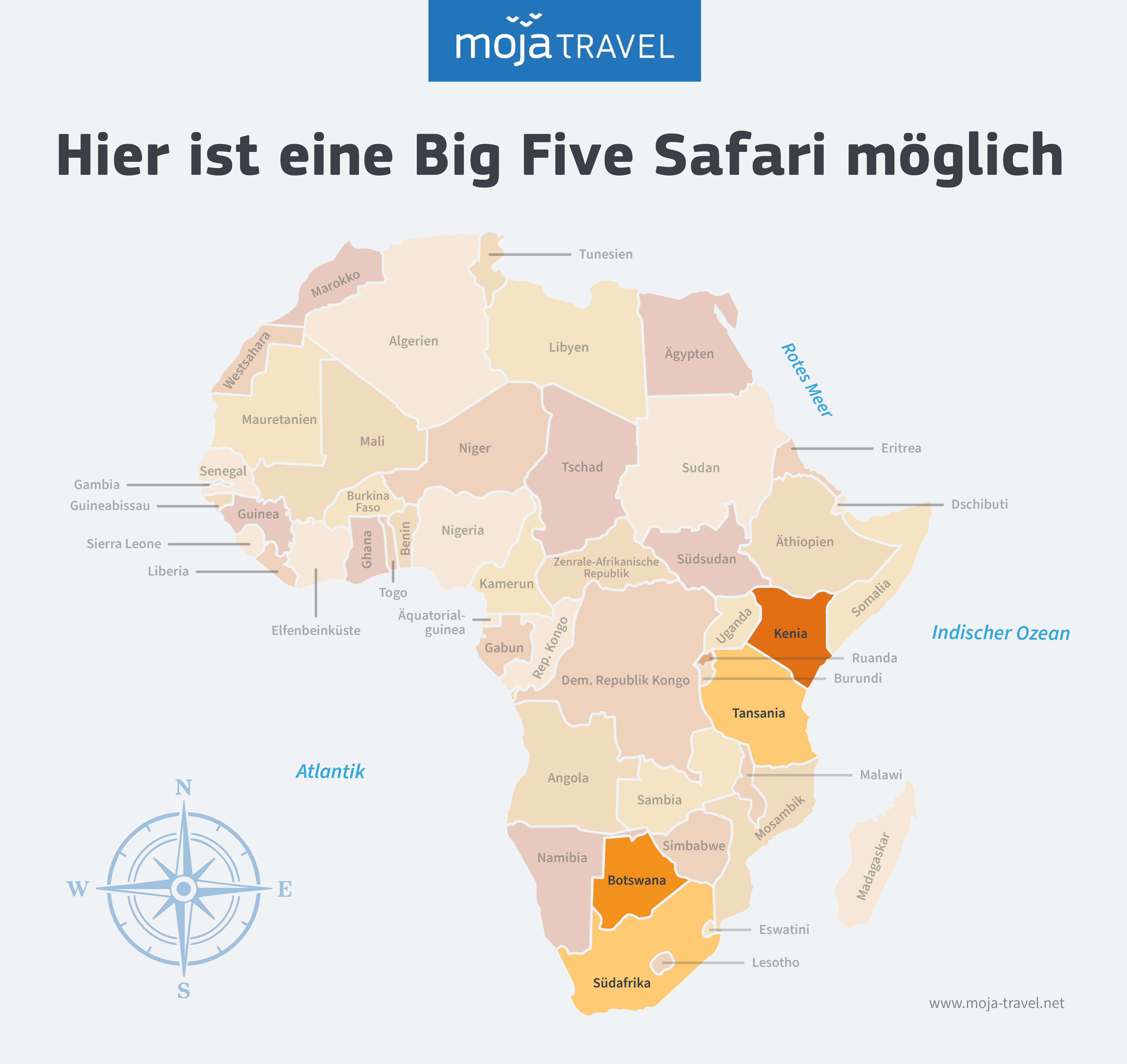 Big Five Safari in Afrika: alles Wissenswerte im Überblick