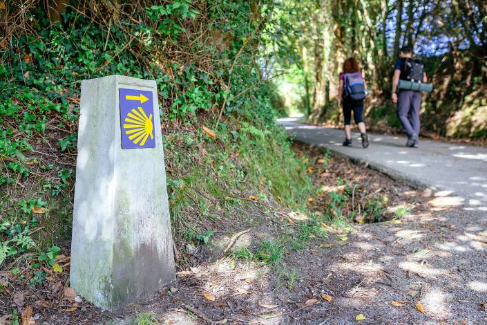 Tolle Reise auf dem Jakobsweg
